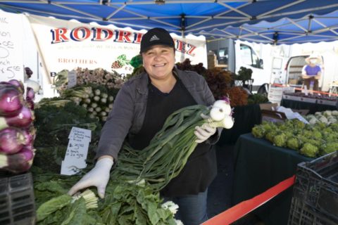 Home - Everyone’s Harvest